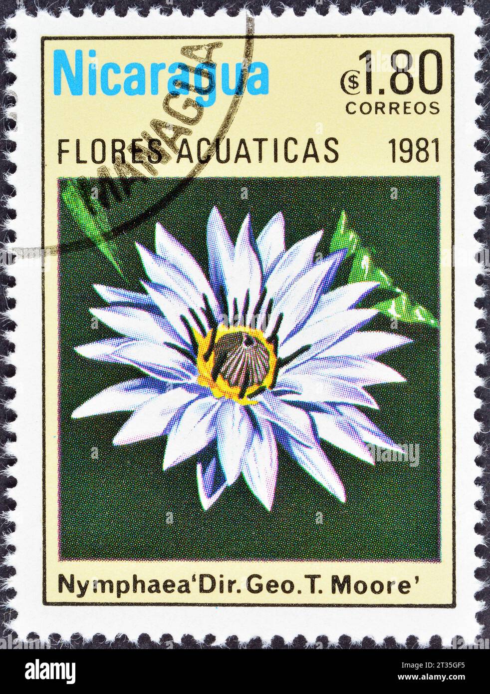 Cancelled postage stamp printed by Nicaragua, that shows Nymphaea "Dir ...