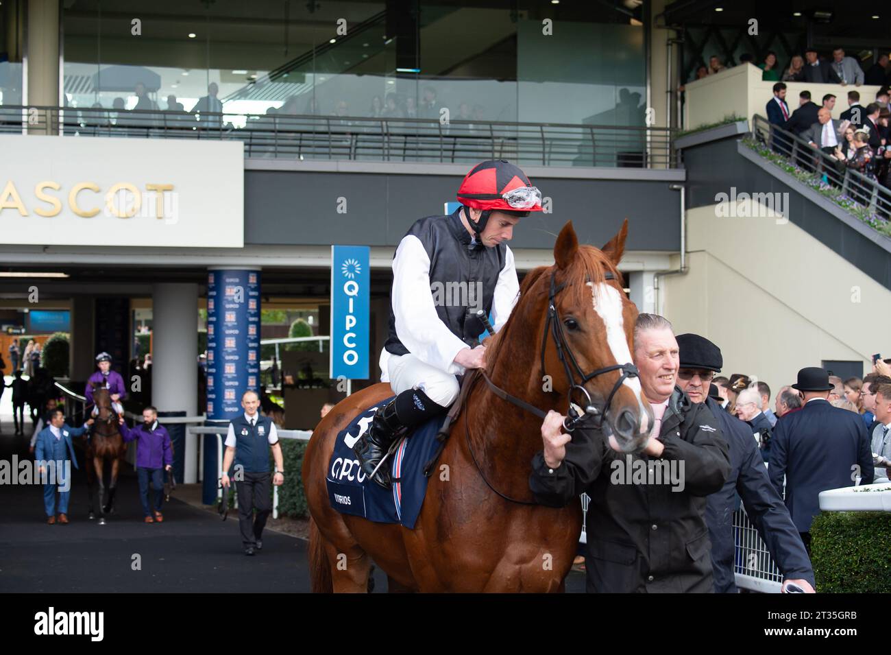 Kyprios horse hi-res stock photography and images - Alamy