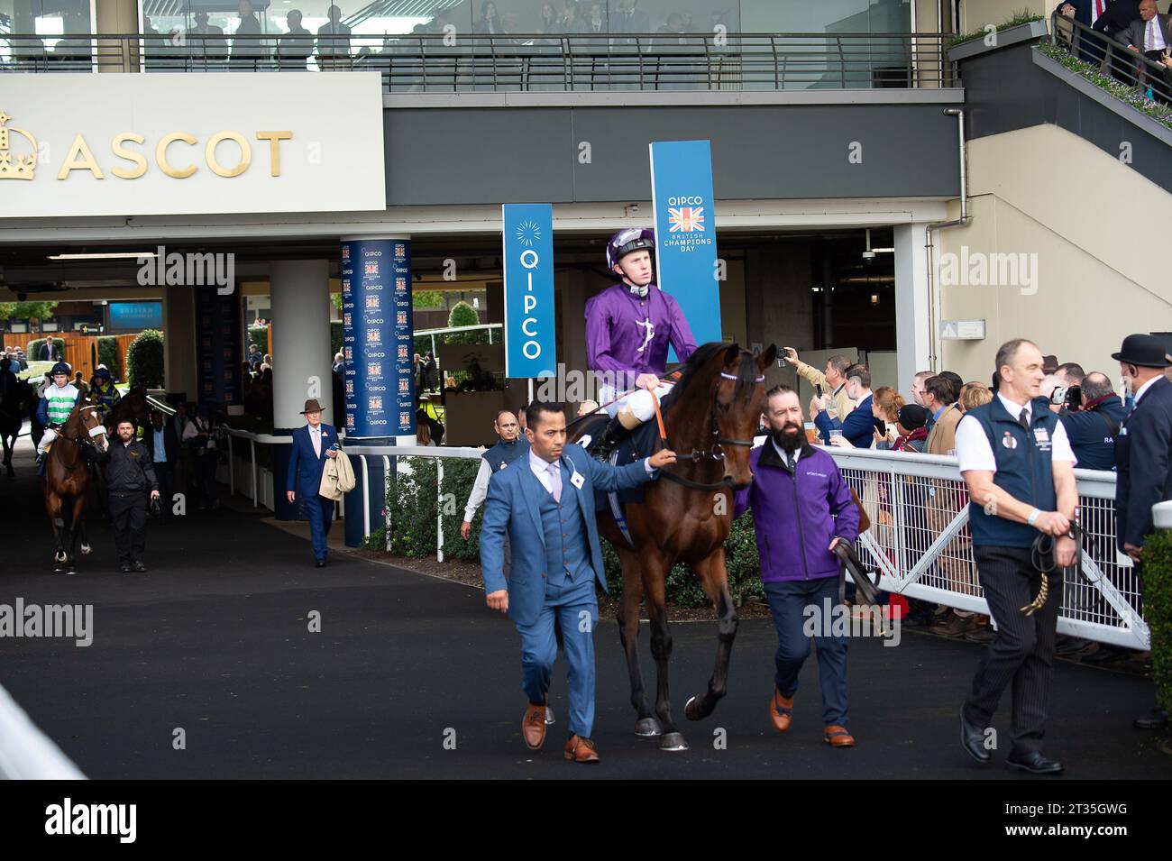 Maxident hi-res stock photography and images - Alamy