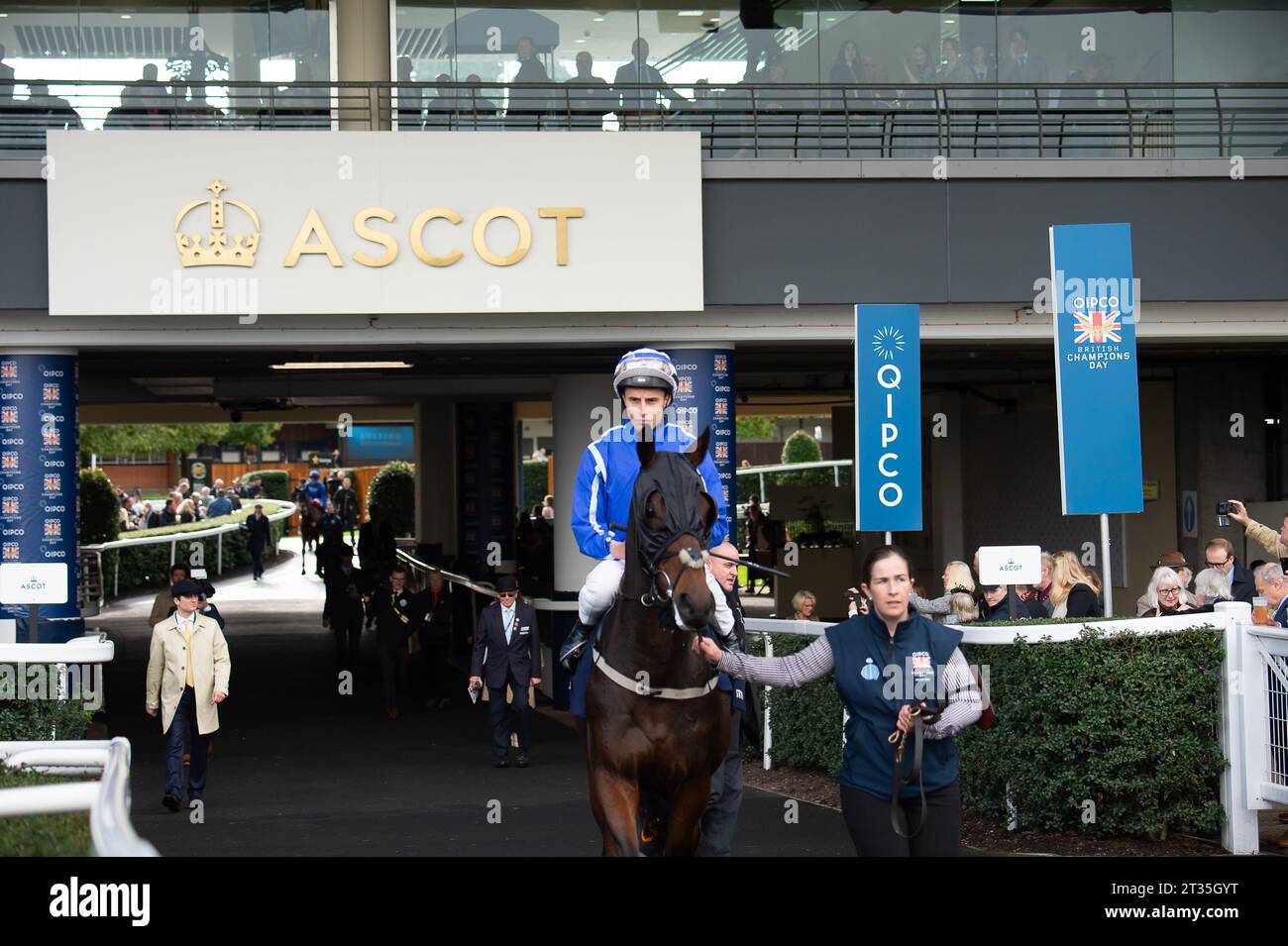 Tony mullins trainer hi-res stock photography and images - Alamy