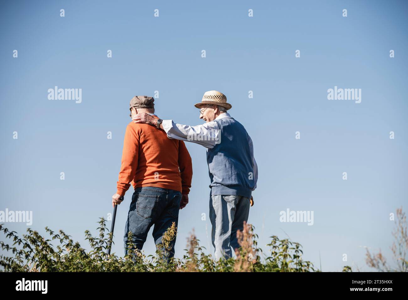 Two old friends taking a stroll through the fields, talking about old ...
