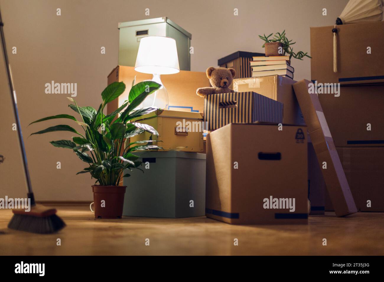 Teddy bear inside cardboard box in an empty room in a new home Stock ...
