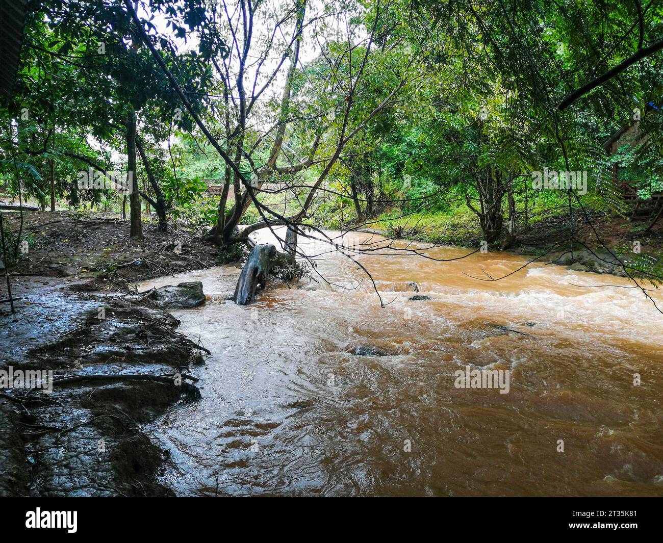 Cambodia, Ratanakiri region, Banlung Stock Photo - Alamy