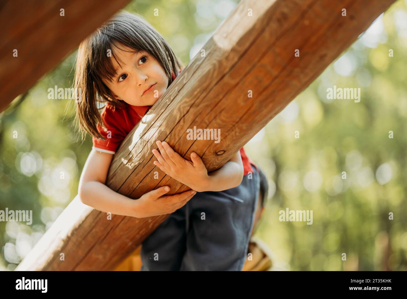 Hanging log hi-res stock photography and images - Alamy