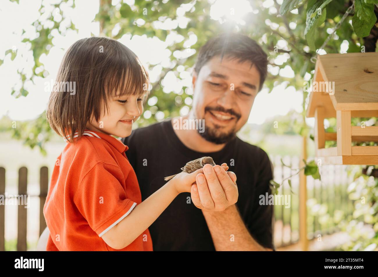 Father and son holding sparrow near bird house Stock Photo - Alamy