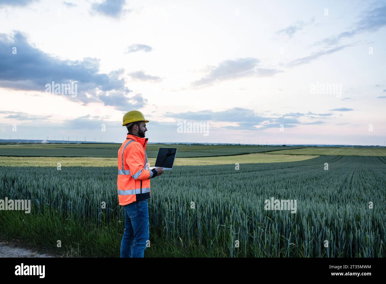 Engineer in reflective clothing holding laptop looking at crop in field ...