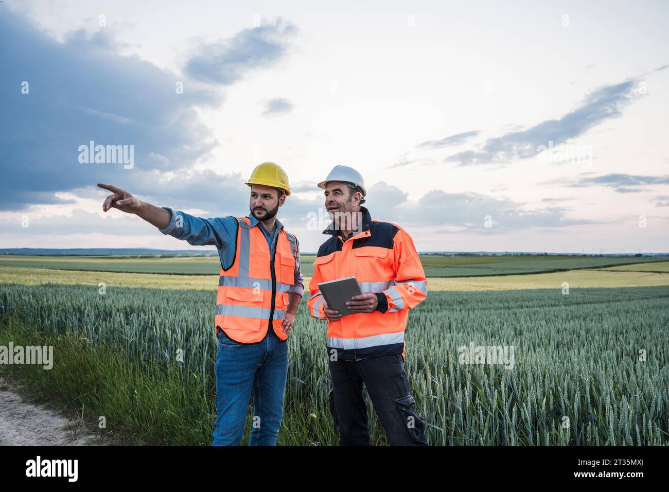 Engineer pointing away with colleague standing by crop in field Stock ...