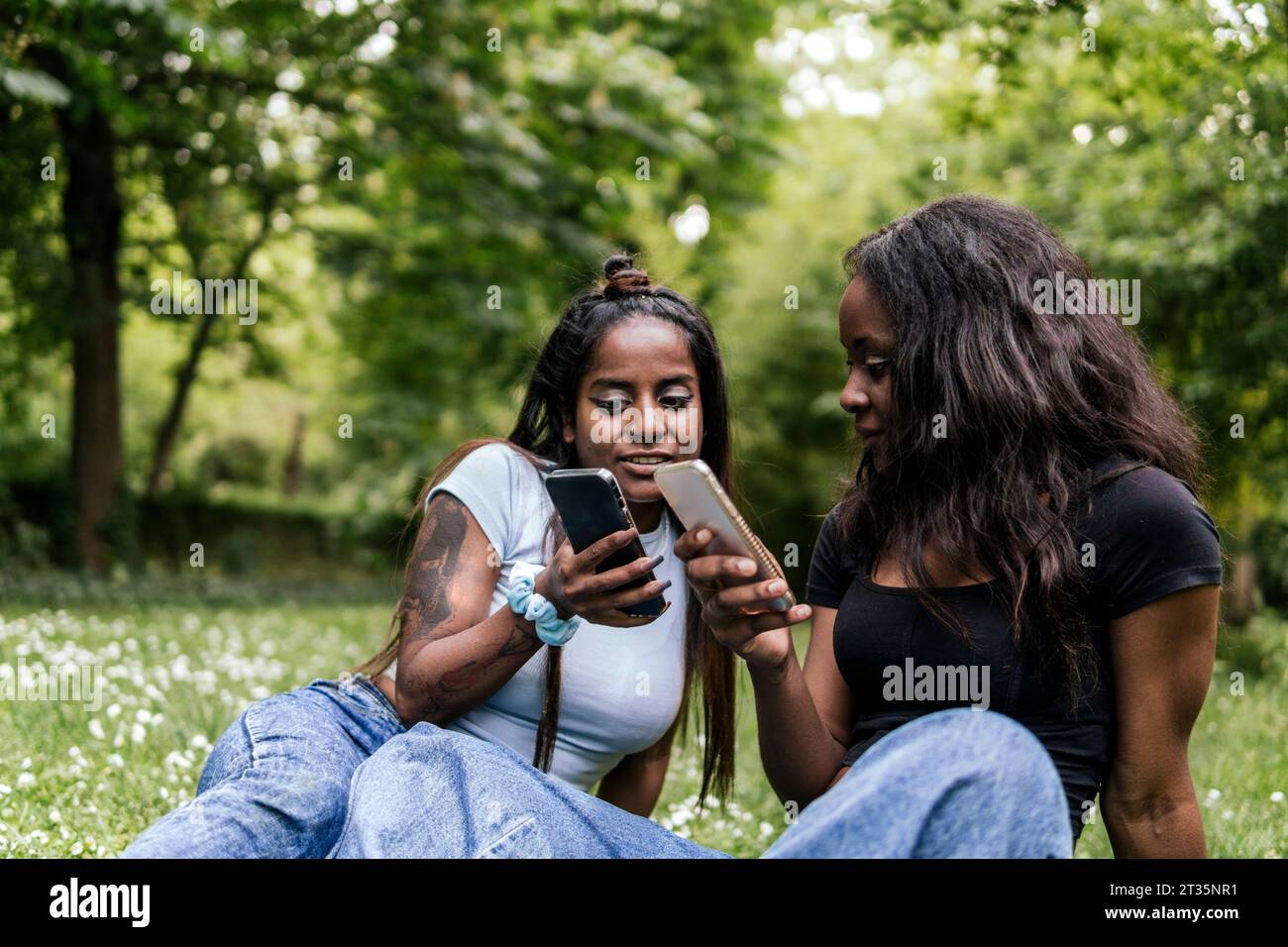 Friends using mobile phones sitting at park Stock Photo - Alamy