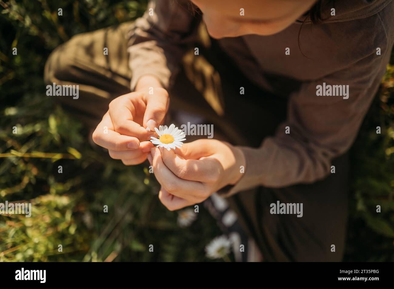Boy with daisy hi-res stock photography and images - Alamy