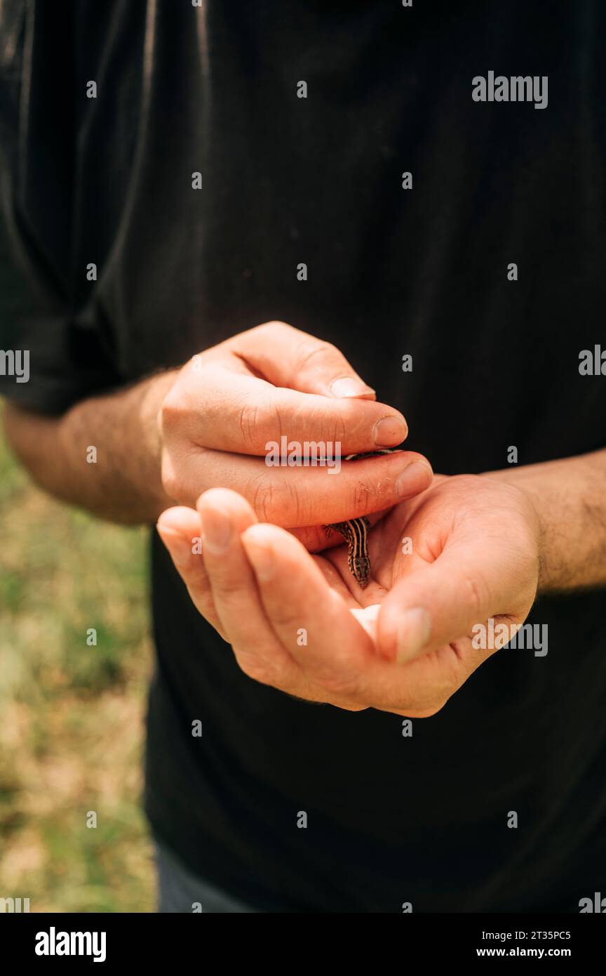 Man lizard hi-res stock photography and images - Alamy