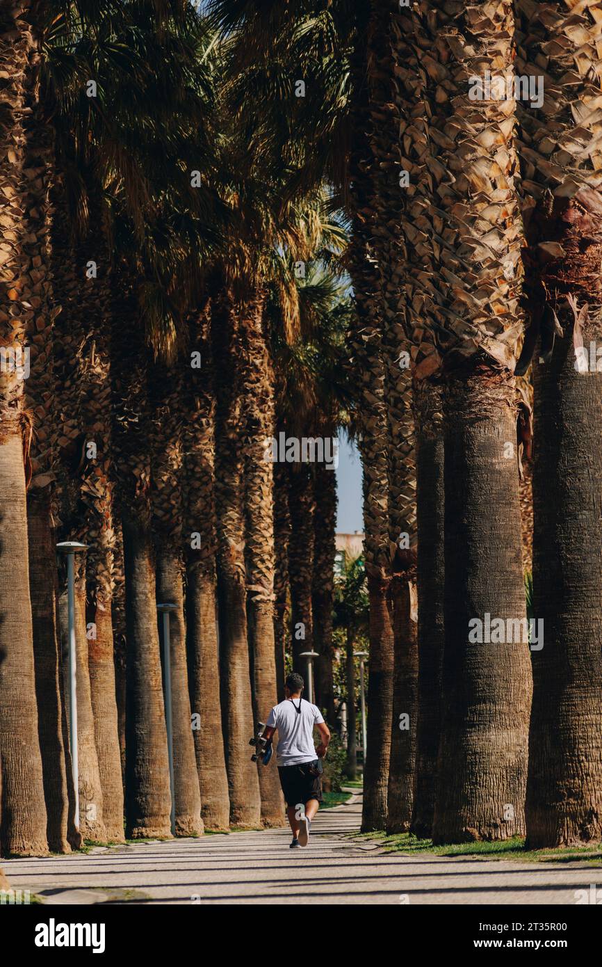 Amidst palm trees hi-res stock photography and images - Alamy