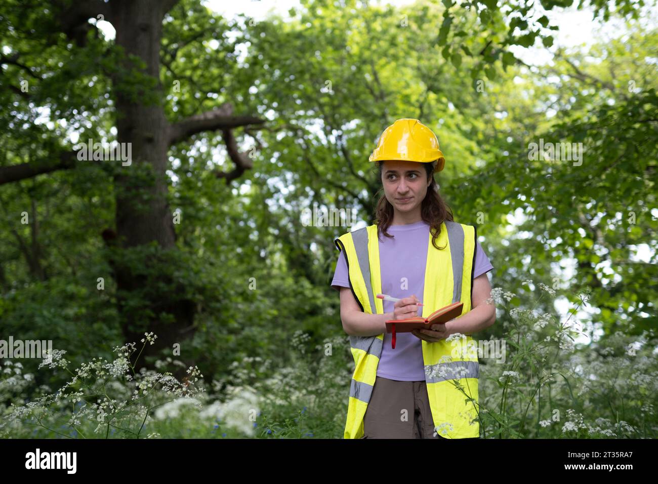 Worker standing and writing in diary at forest Stock Photo - Alamy