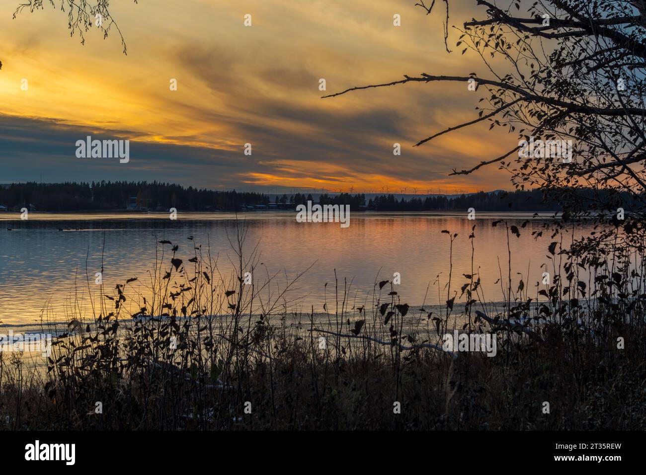 Beautiful sunset over golden forest hi-res stock photography and images ...