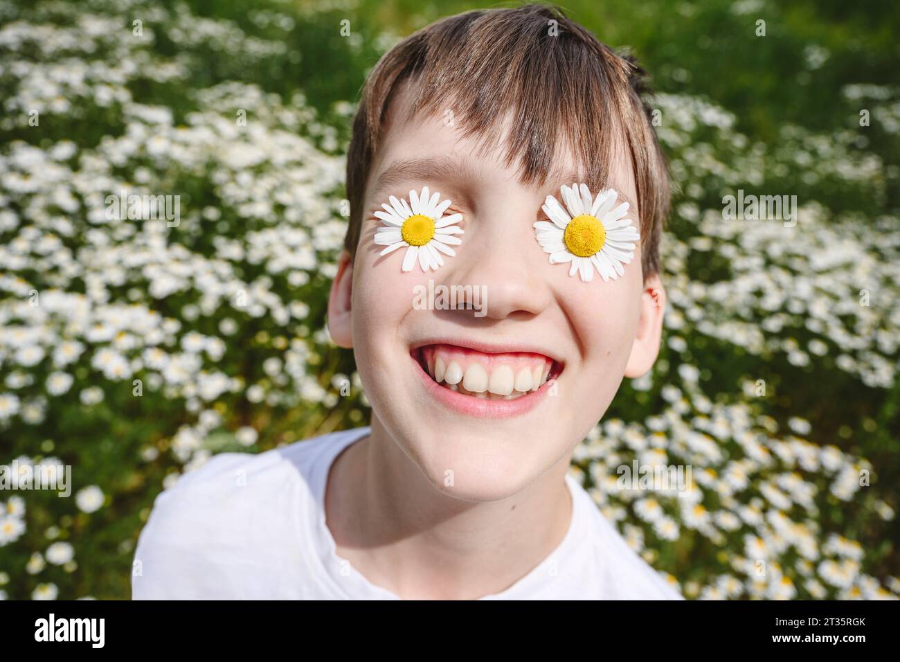 Happy boy with chamomile flowers over eyes Stock Photo - Alamy