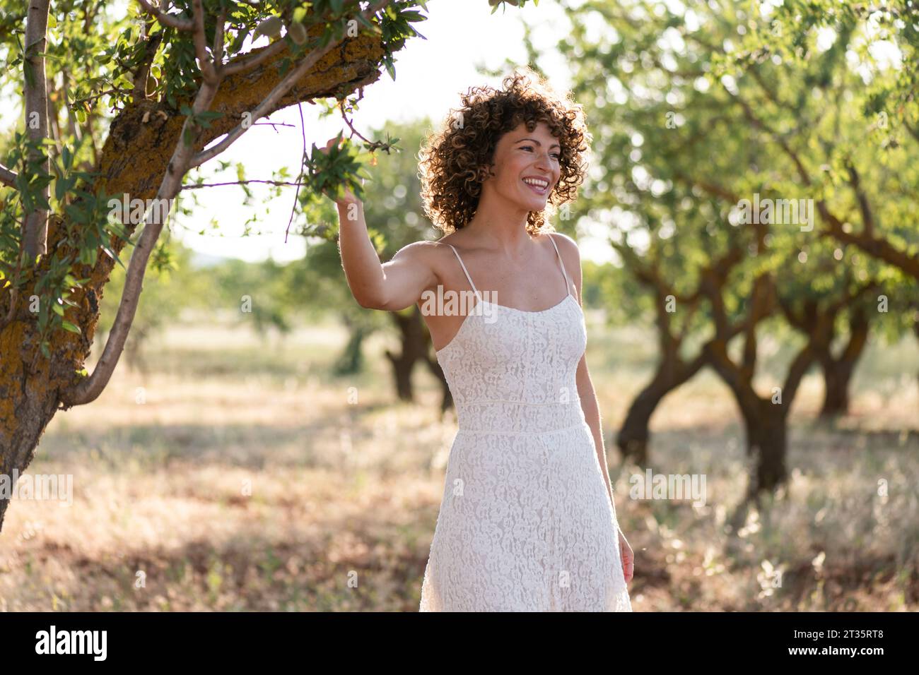 Happy woman touching tree at sunny day Stock Photo - Alamy