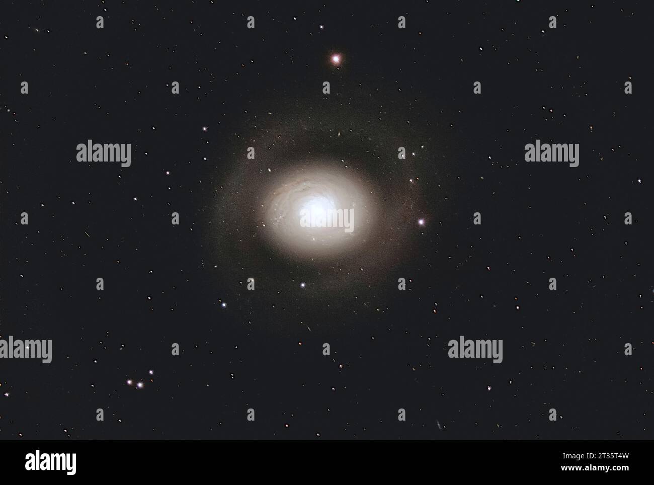 Constellation canes hi-res stock photography and images - Alamy