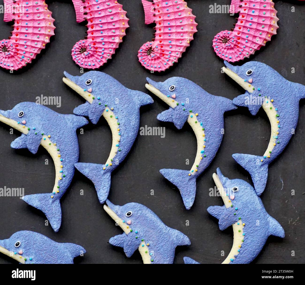 fridge magnet souvenir, marine life theme Stock Photo - Alamy