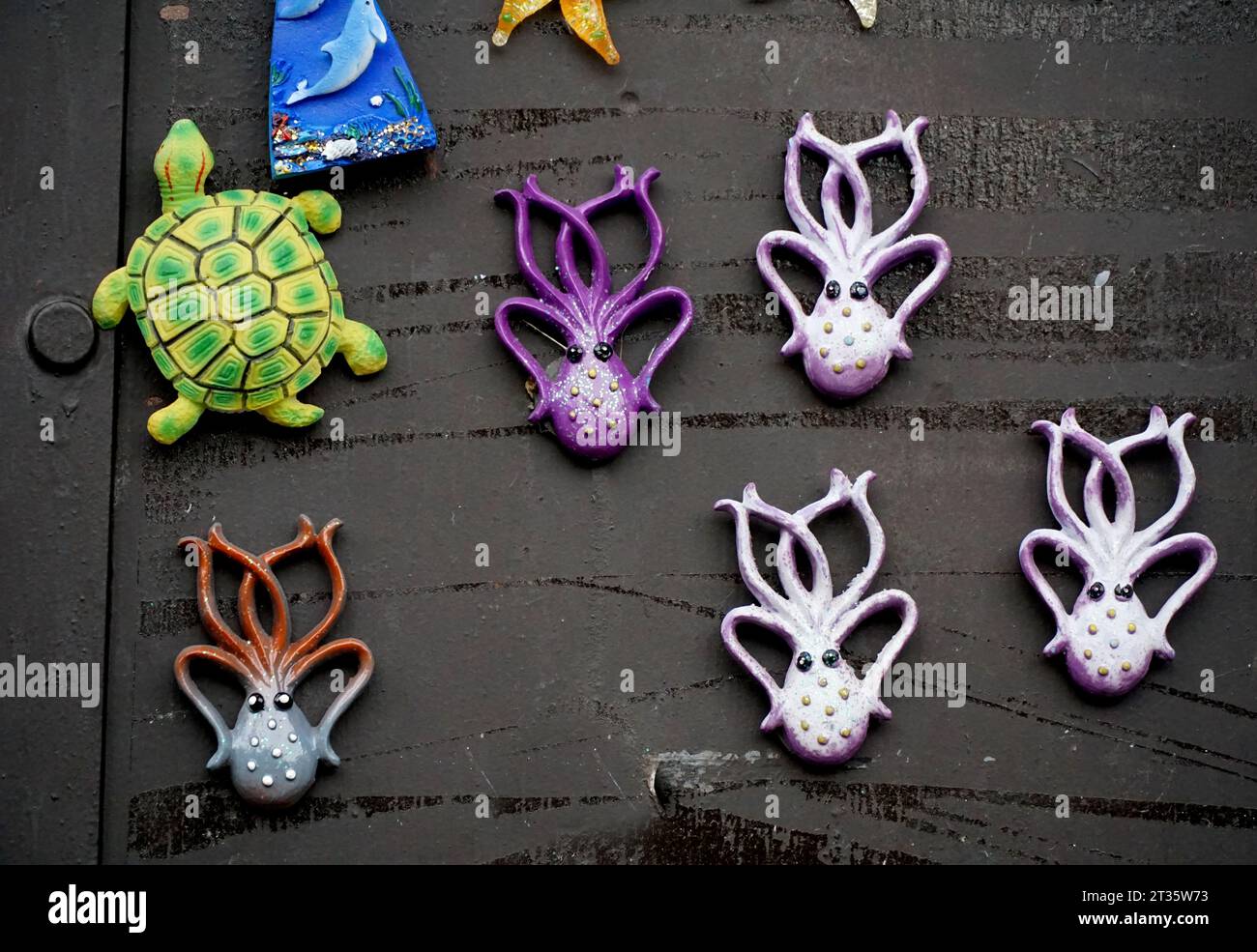 fridge magnet souvenir, marine life theme Stock Photo - Alamy