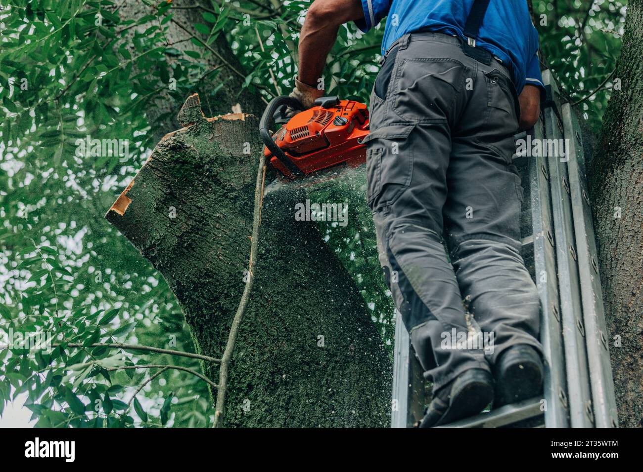 Metal ladder hi-res stock photography and images - Alamy