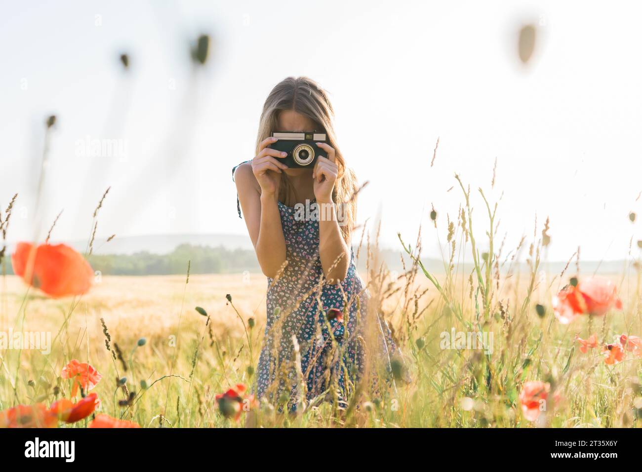 Girl photographing with camera in poppy field Stock Photo - Alamy