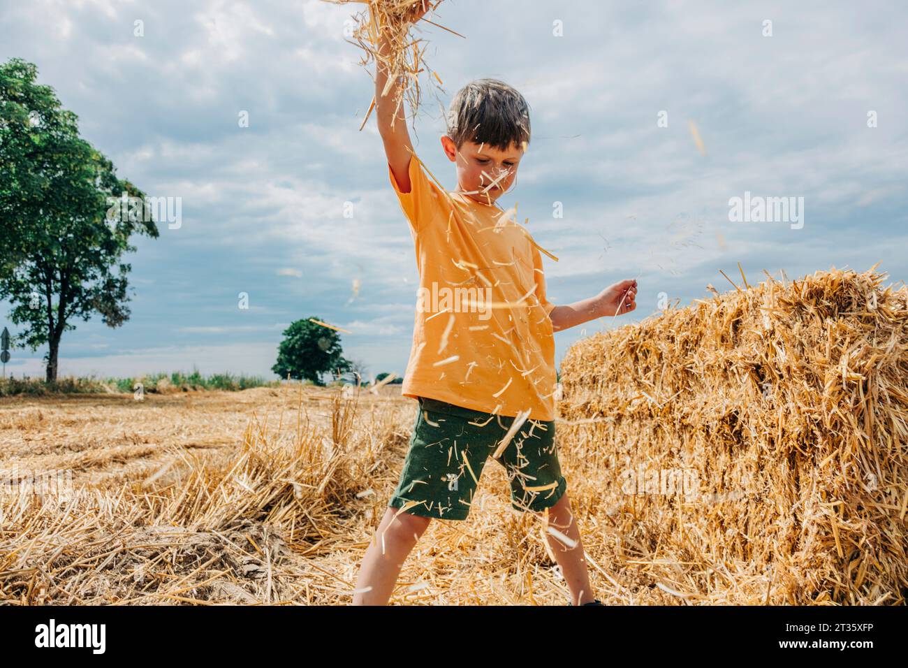 Boy playing with hay in wheat field on sunny day Stock Photo - Alamy