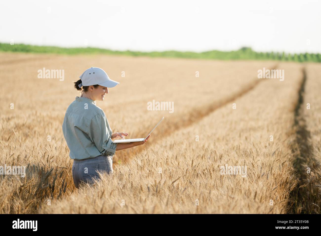 Agronomist using laptop in hi-res stock photography and images - Alamy