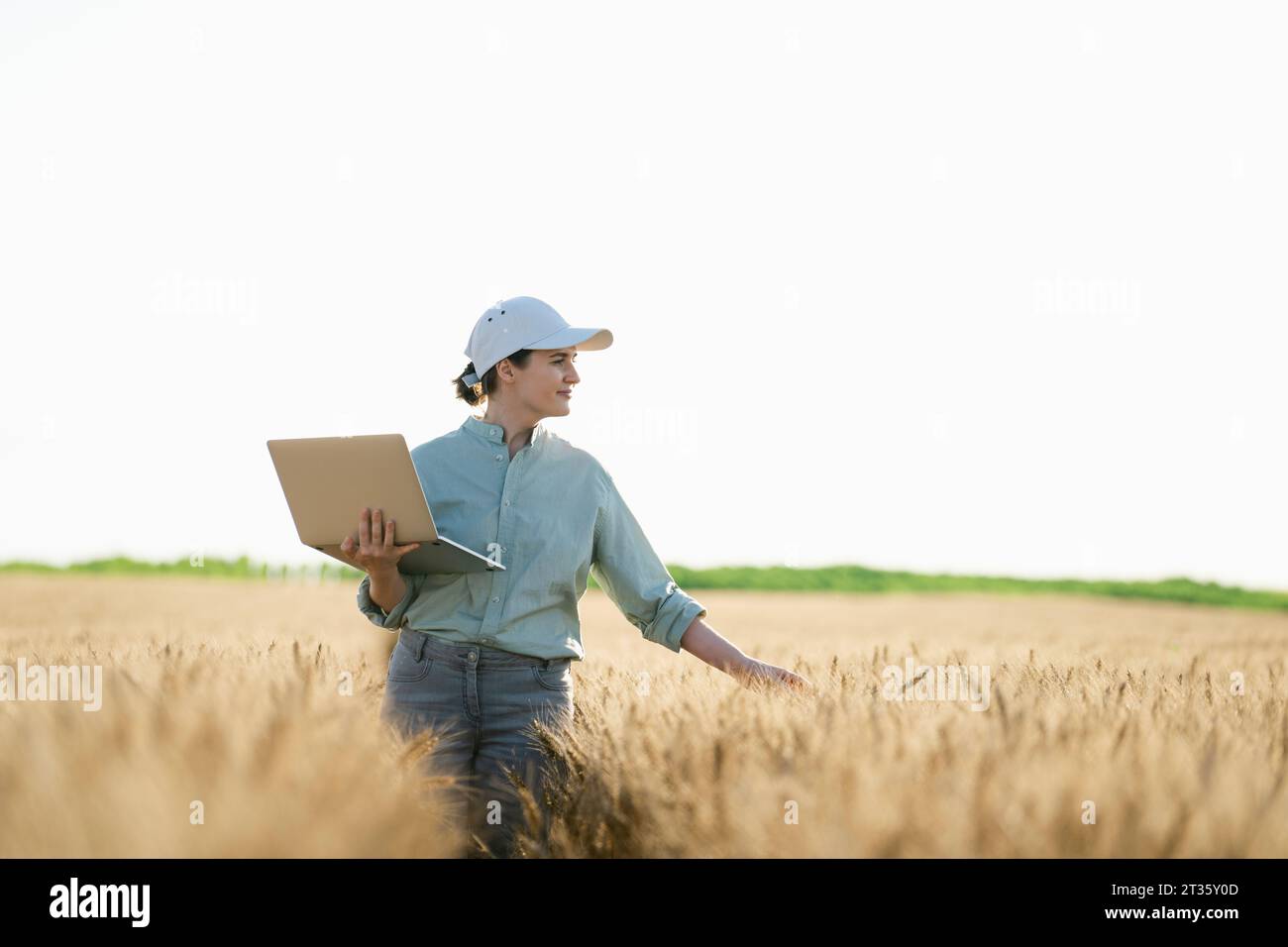 Farmer with laptop examining crops at field Stock Photo - Alamy