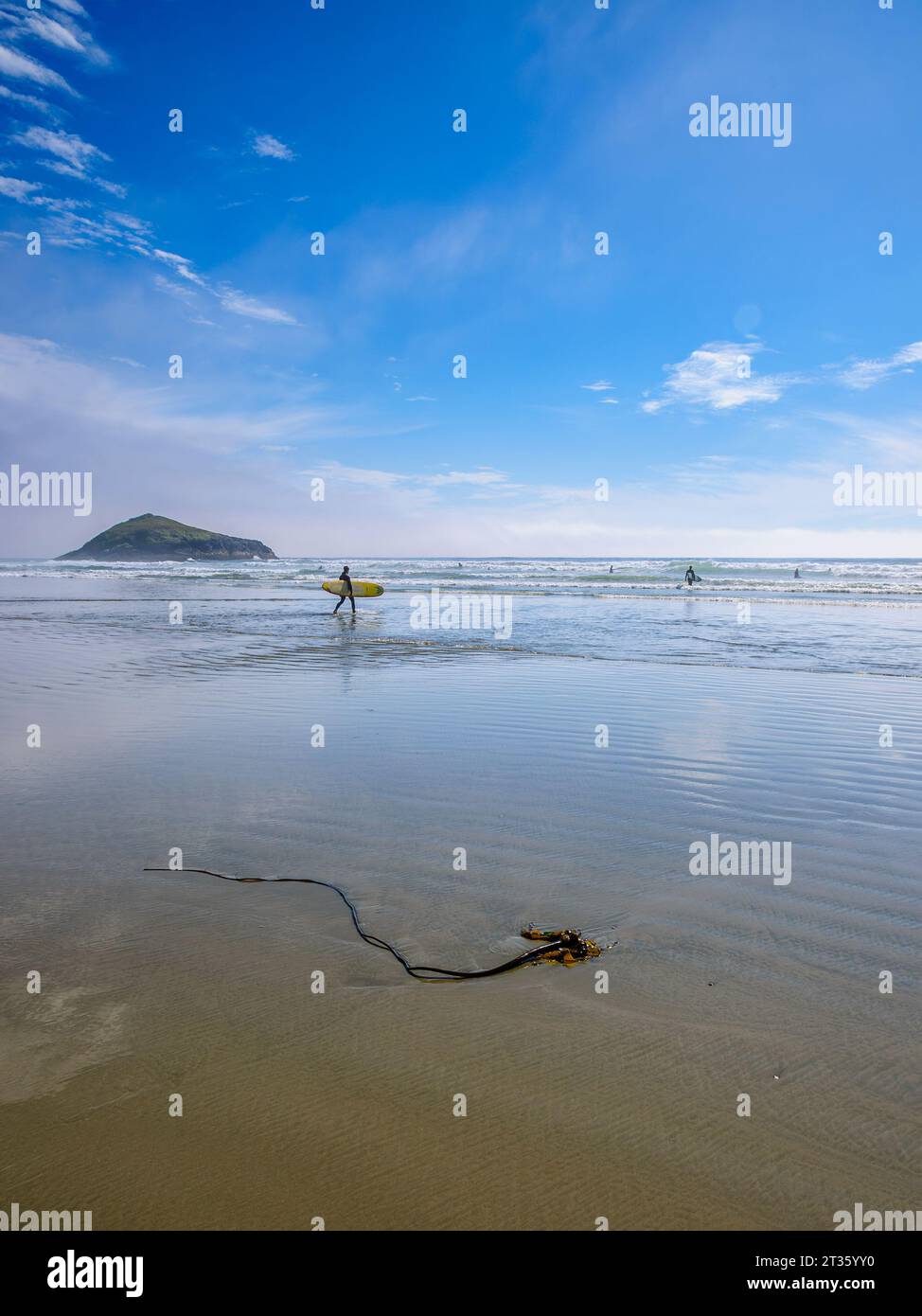 Walking on a wet sandy beach, heading out to surf on Vancouver Island ...