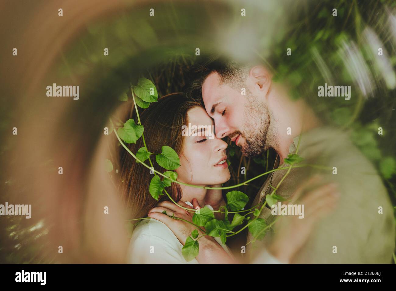 Romantic couple hugging near plants Stock Photo - Alamy