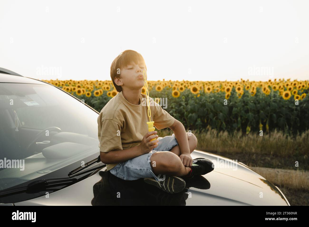 Boy blowing bubbles sitting on car hood in front of sunflower field ...