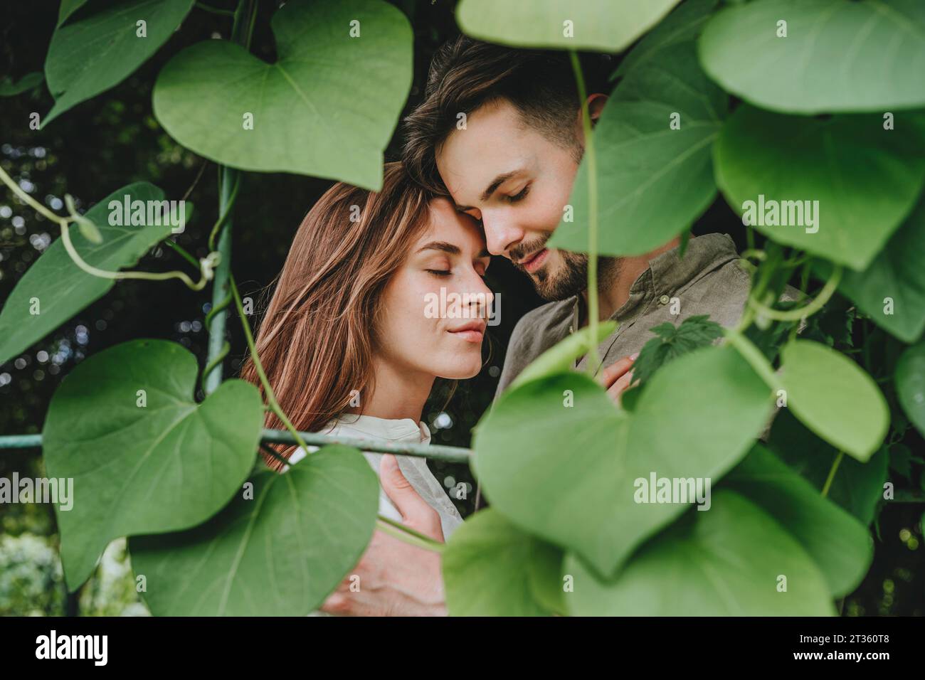 Romantic couple hugging amidst plants Stock Photo - Alamy