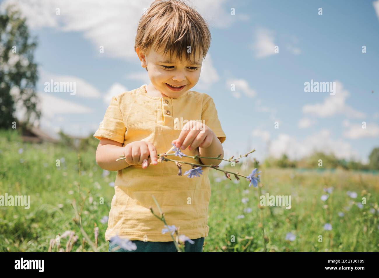 Flower and twig hi-res stock photography and images - Alamy