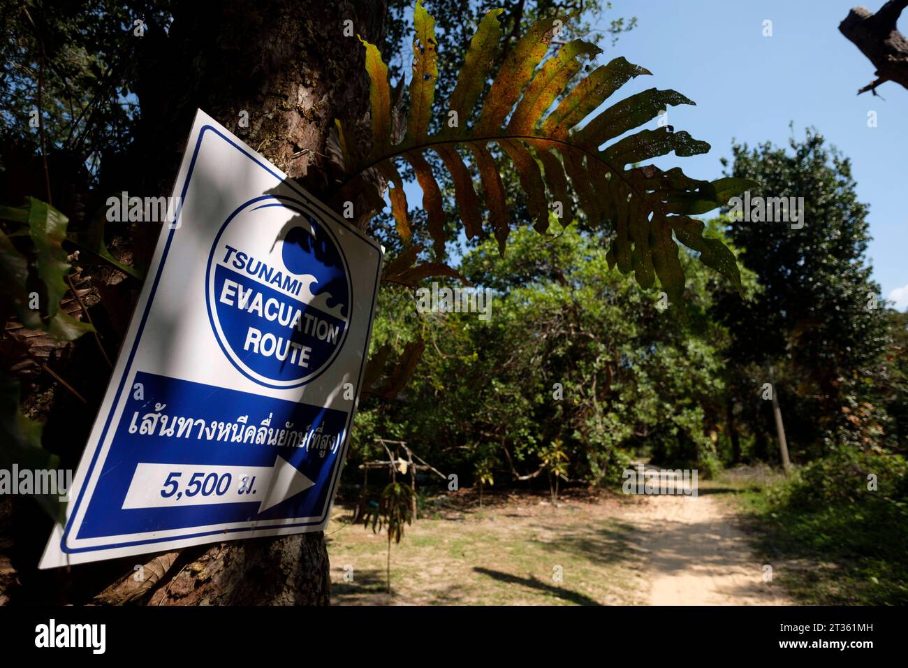 Hinweisschild Tsunami Evacuation Route - Koh Phayam - Thailand ...