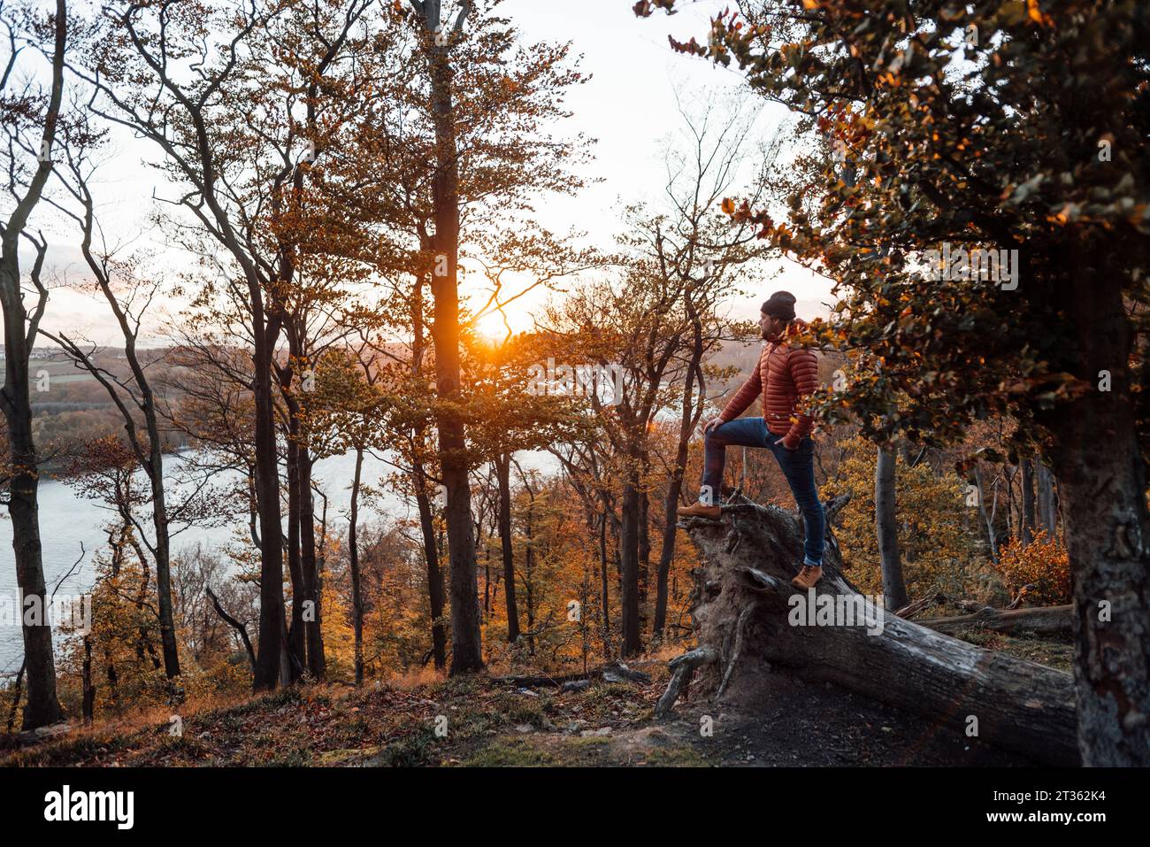 Man standing near tree hi-res stock photography and images - Alamy
