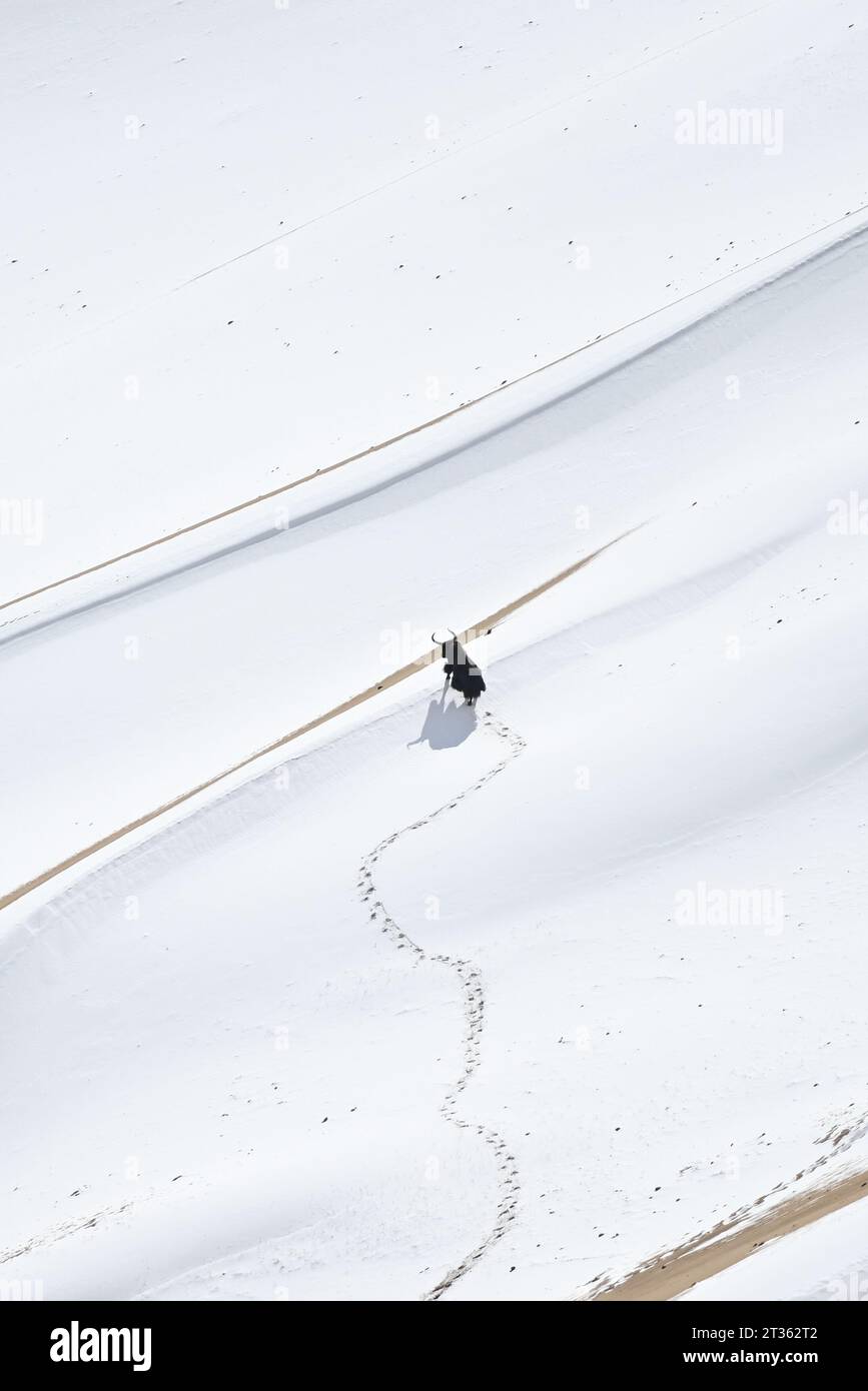 Ruoqiang. 16th Oct, 2023. This photo taken on Oct. 16, 2023 shows a ...