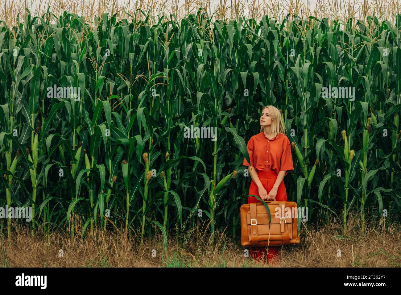 Woman carrying suitcase in corn field Stock Photo - Alamy