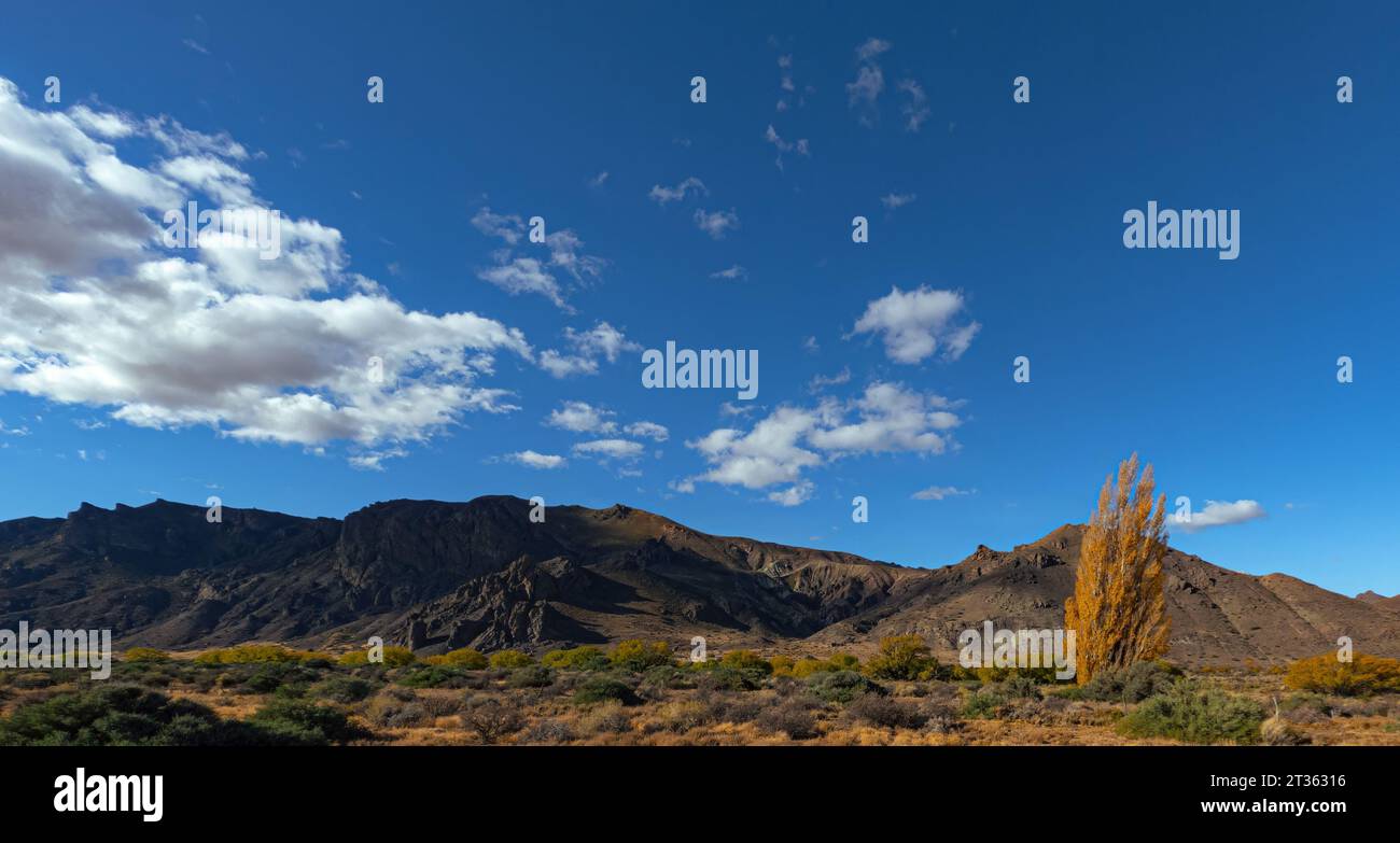 Road RN12 Province of Chubut. The Dinosaur route Stock Photo - Alamy