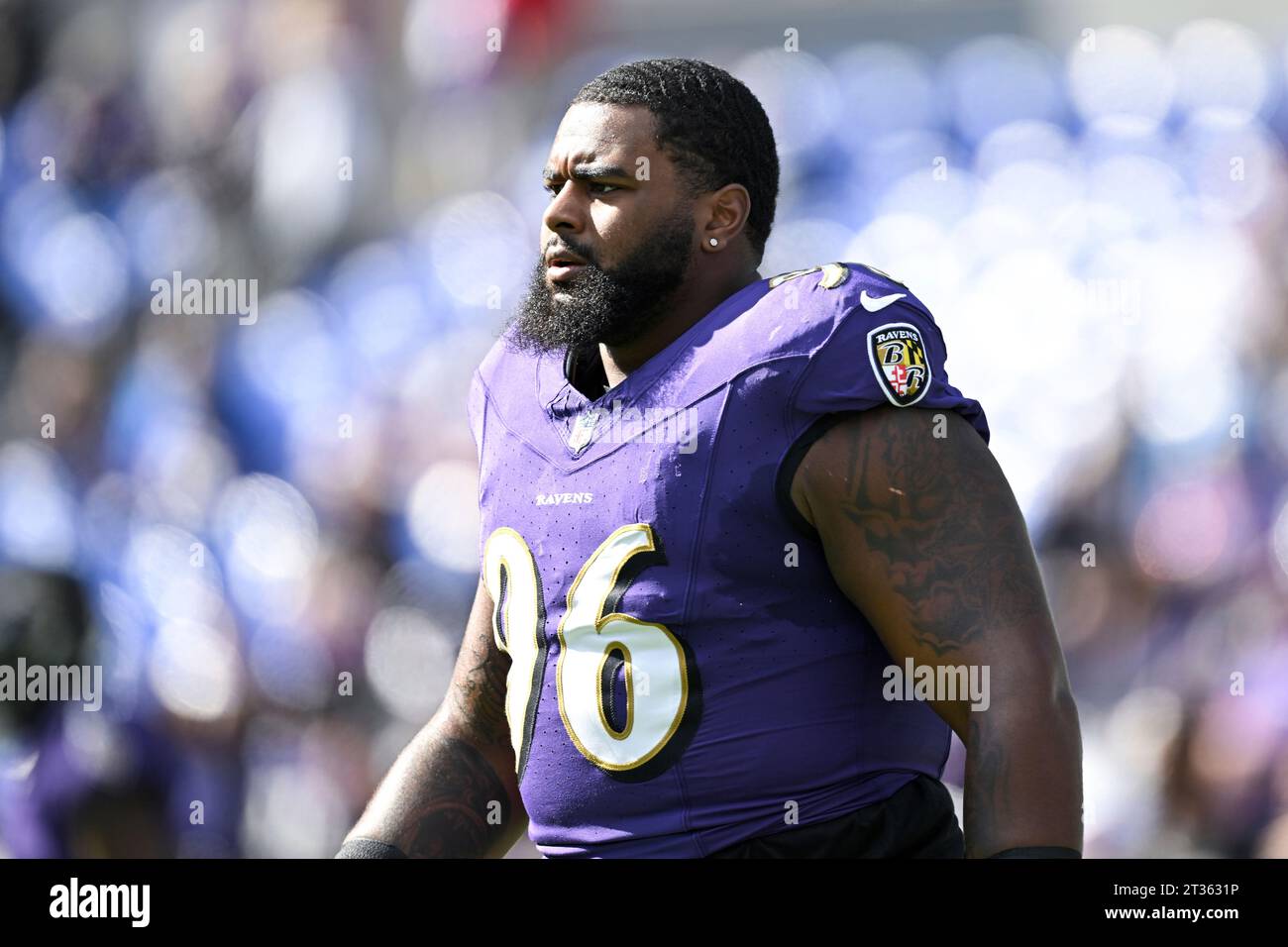 Baltimore Ravens defensive tackle Broderick Washington (96) looks on ...