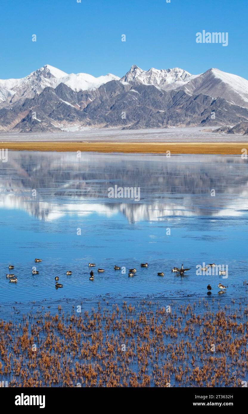 Ruoqiang. 18th Oct, 2023. This aerial photo taken on Oct. 18, 2023 ...