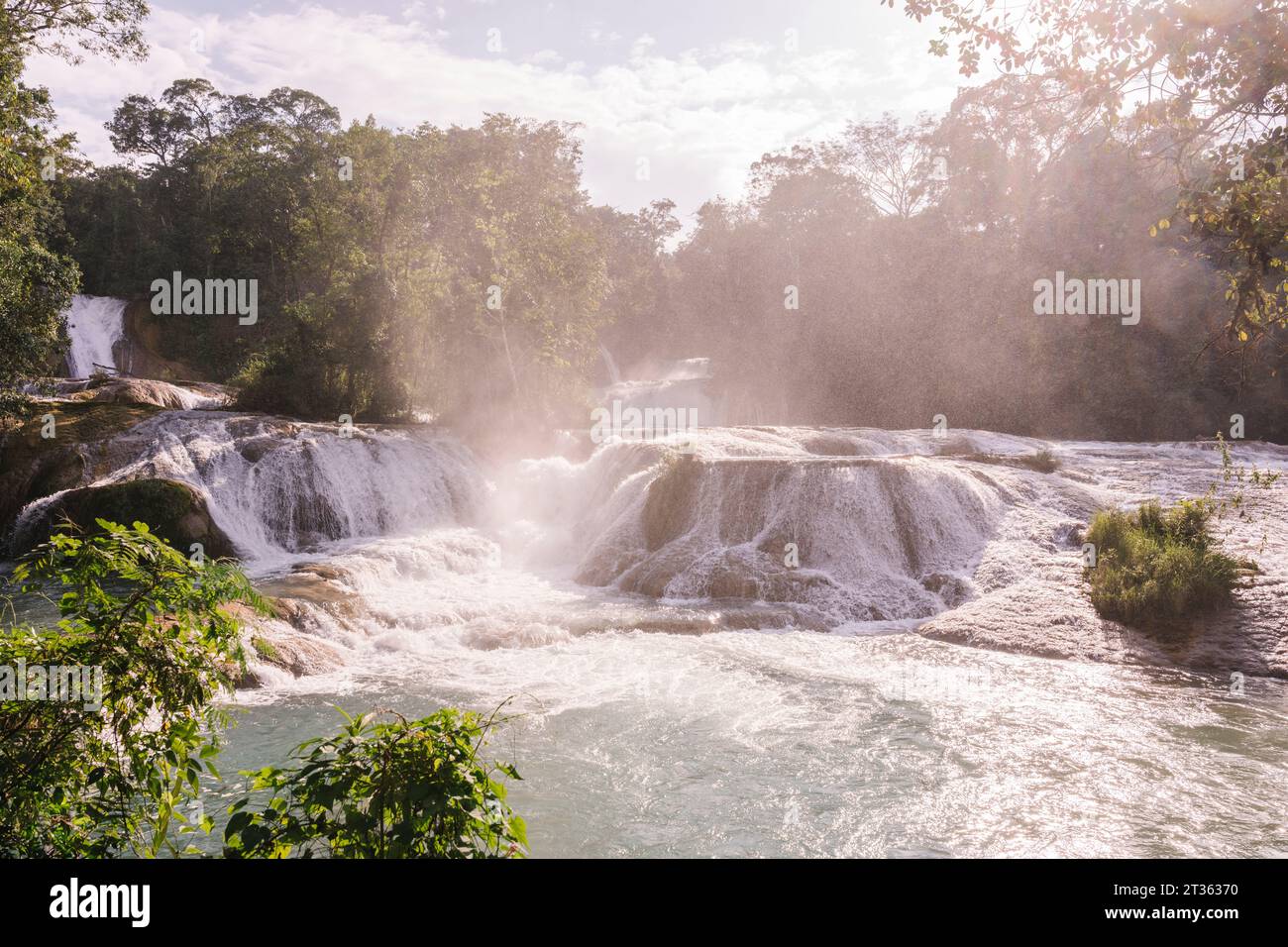 Agua Azul Cascades with trees on sunny day Stock Photo - Alamy