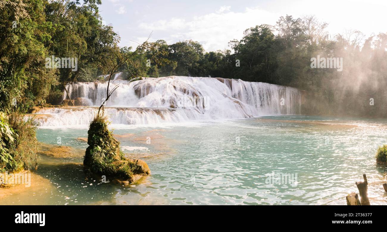 Agua Azul Cascades waterfall with trees in background on sunny day ...