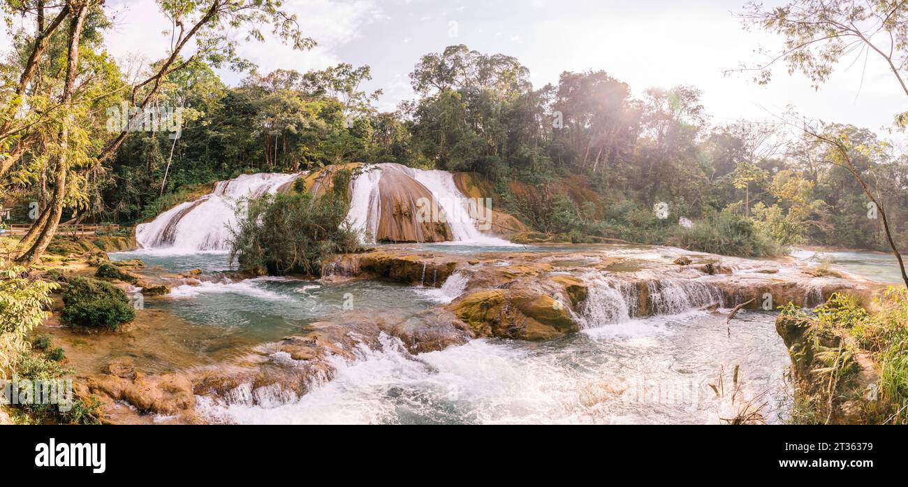 Agua Azul Cascades waterfall with trees in background Stock Photo - Alamy