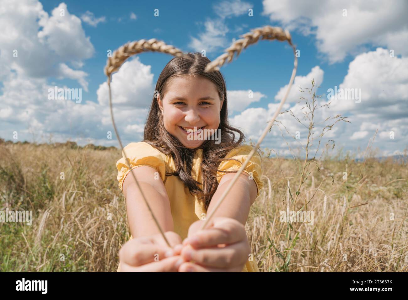 Happy girl making heart shape from wheat crops in field Stock Photo - Alamy