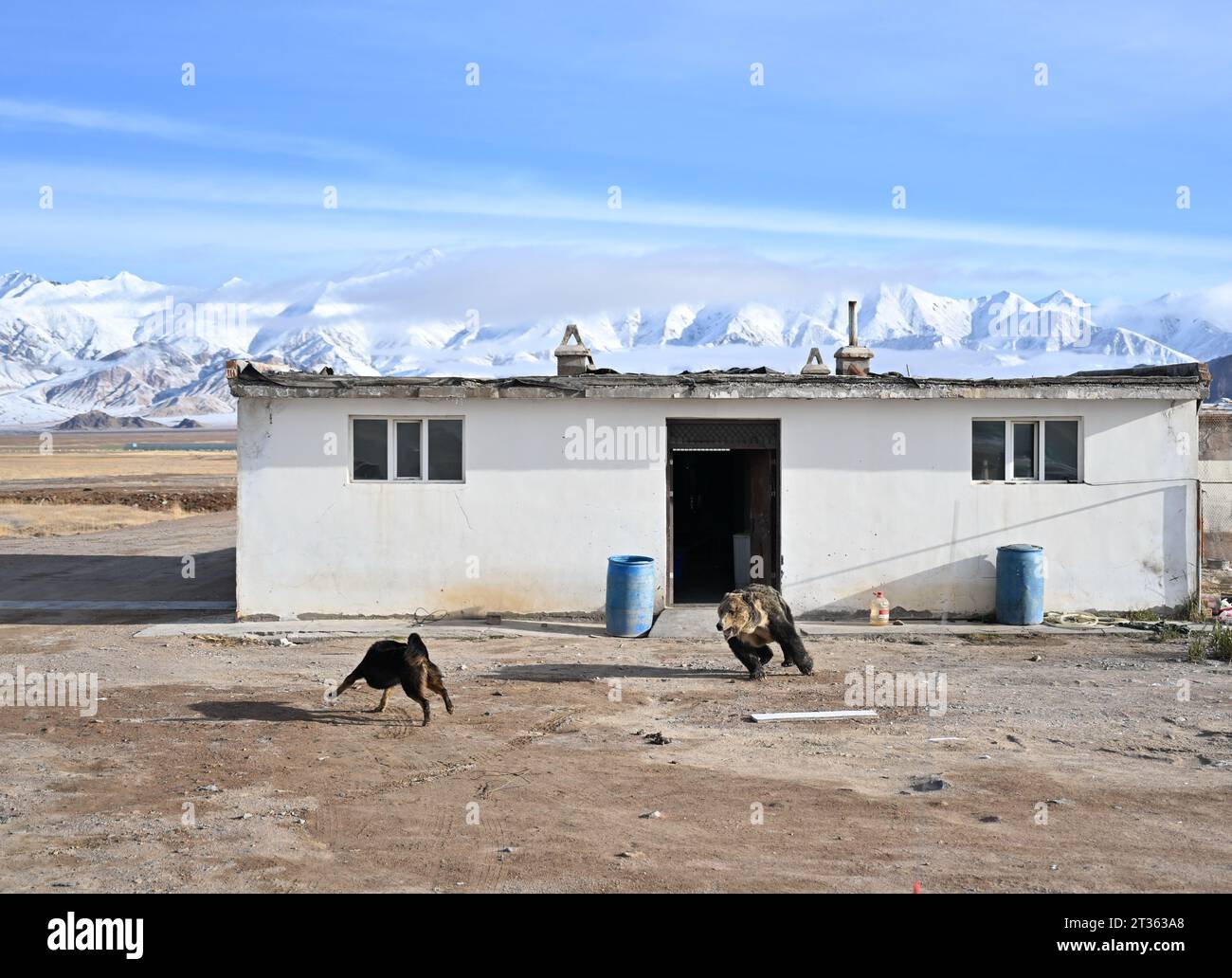 Ruoqiang. 17th Oct, 2023. This photo taken on Oct. 17, 2023 shows a ...