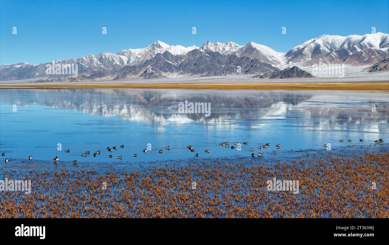 Ruoqiang. 18th Oct, 2023. This aerial photo taken on Oct. 18, 2023 ...