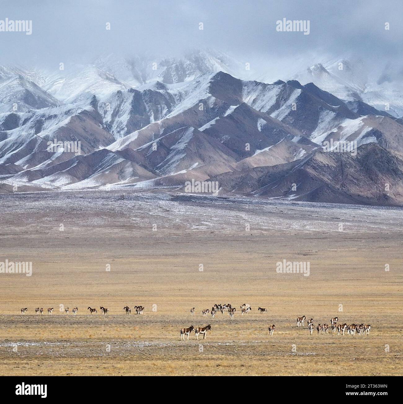 Ruoqiang. 16th Oct, 2023. This aerial photo taken on Oct. 16, 2023 ...