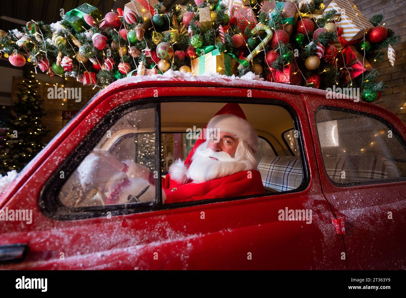 Portrait of santa claus driving a car loaded with a Christmas tree and ...