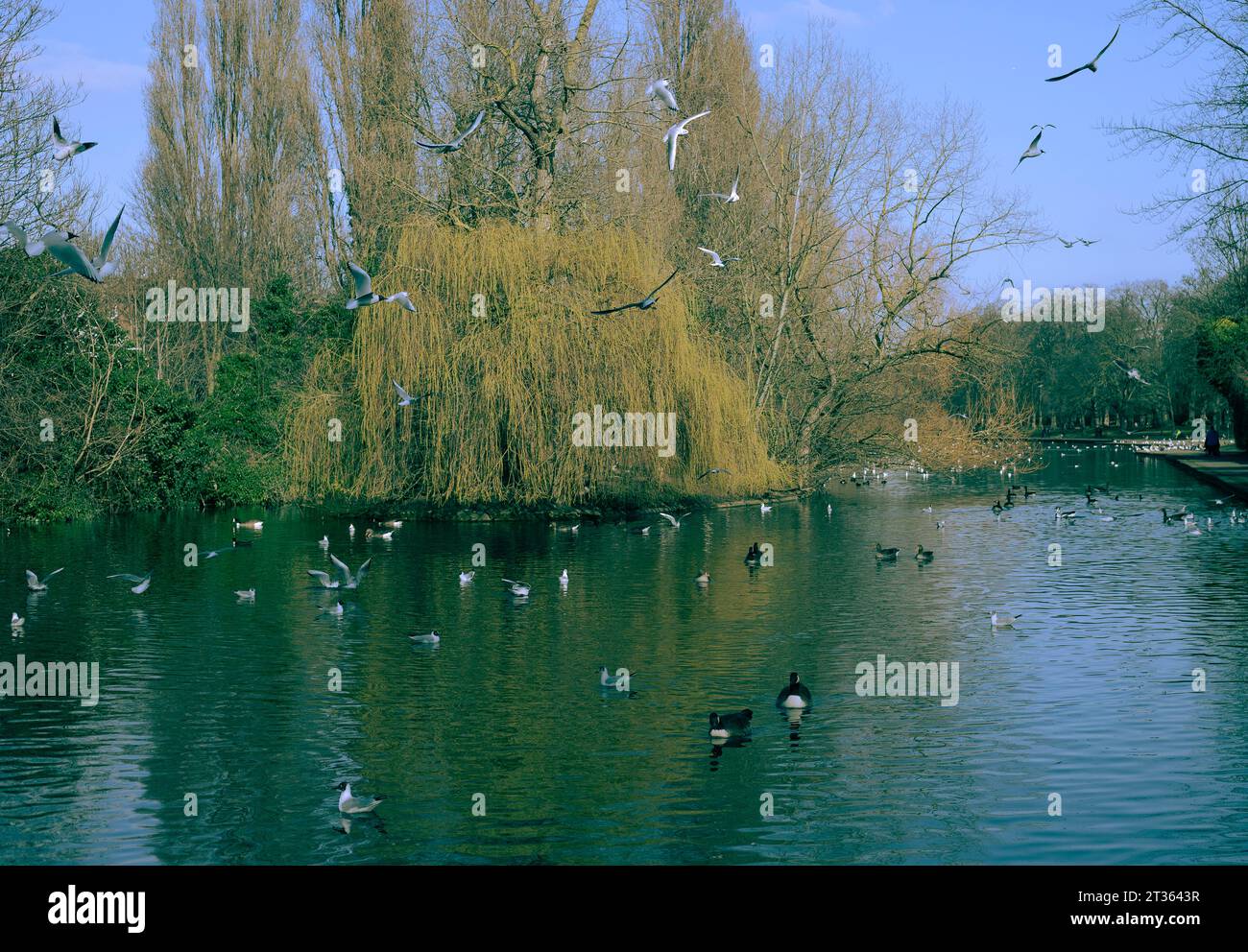 Barking, east London Stock Photo - Alamy