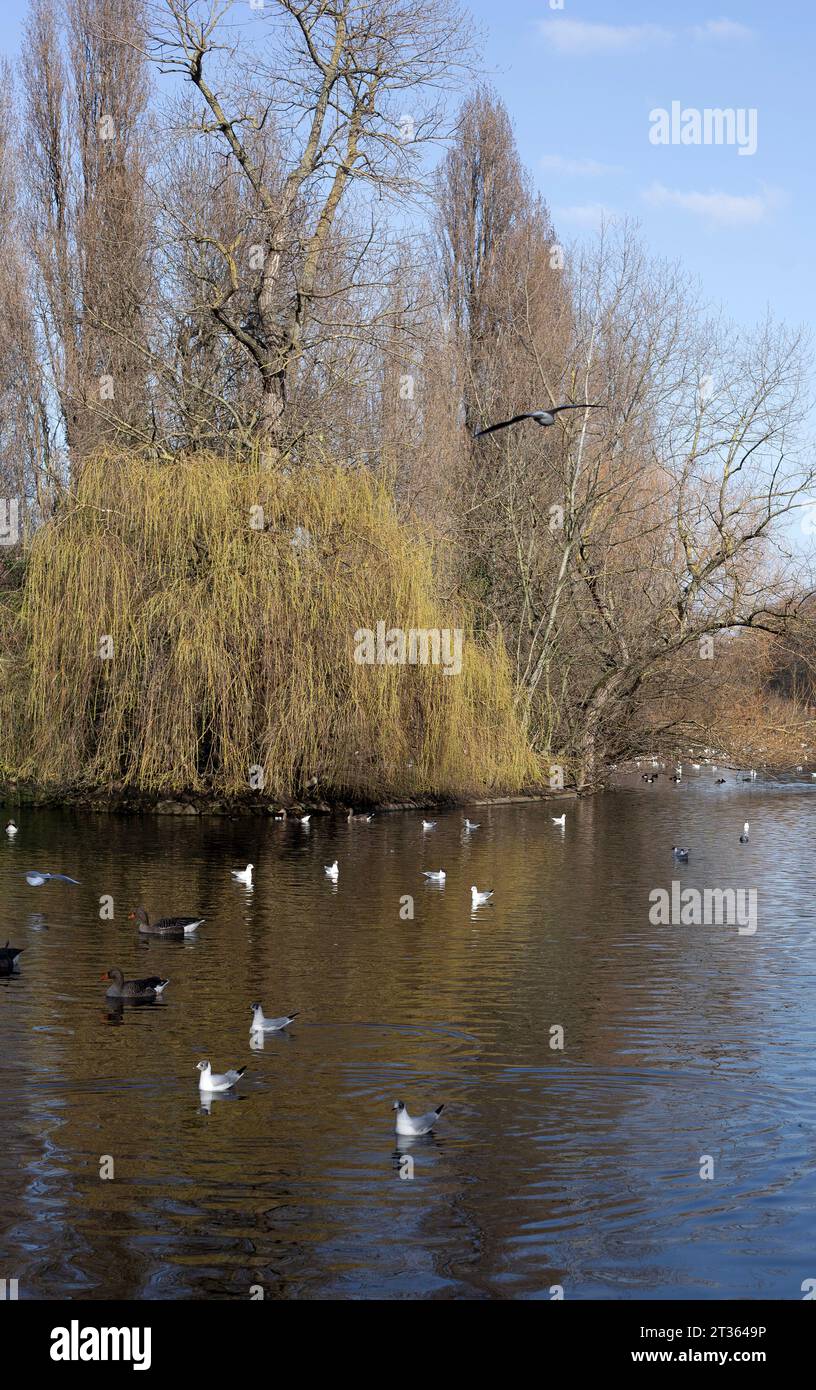 Barking, east London Stock Photo - Alamy