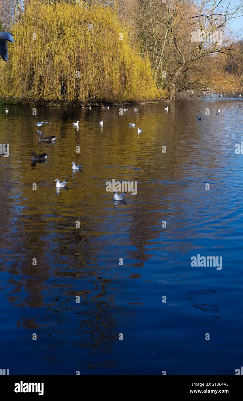 Barking, east London Stock Photo - Alamy
